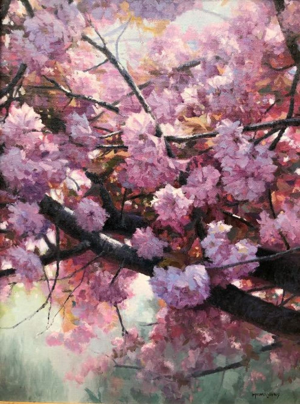 "April Glory" - Michael Godfrey - Highlands Art Gallery